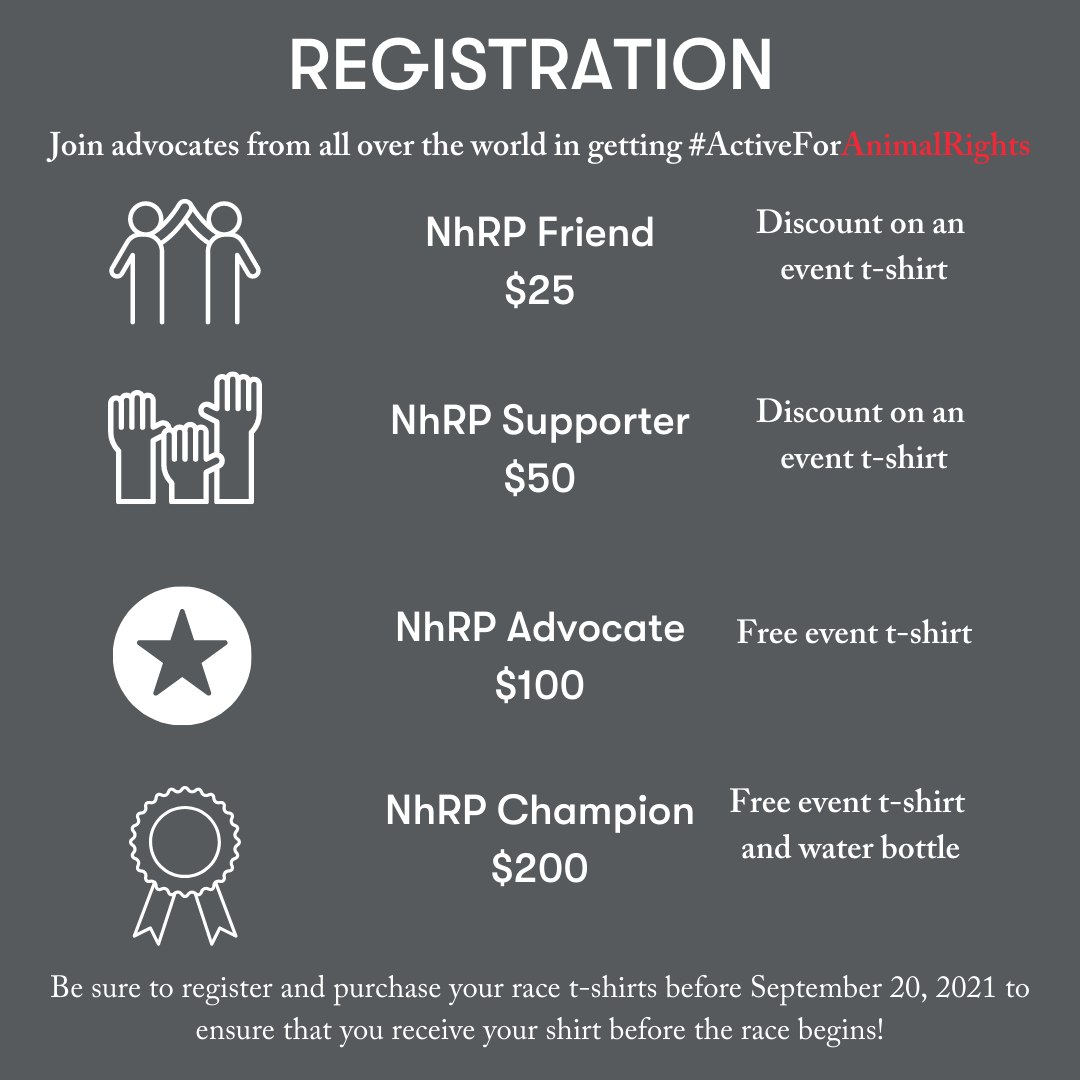 The NhRP's #ActiveForAnimalRights Virtual Race | Nonhuman Rights Project