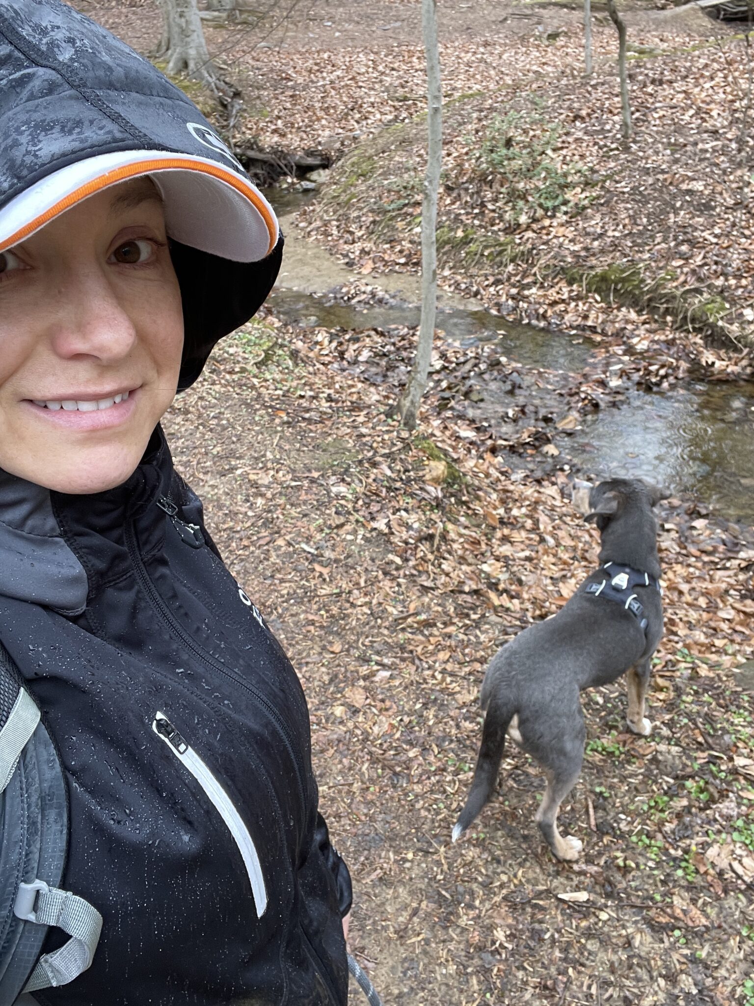 Volunteer Spotlight: Sadina Zaccari | Nonhuman Rights Project