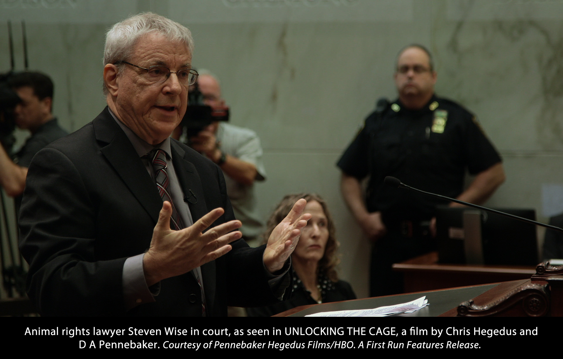 Reflections on the first habeas hearing on behalf of a nonhuman animal ...