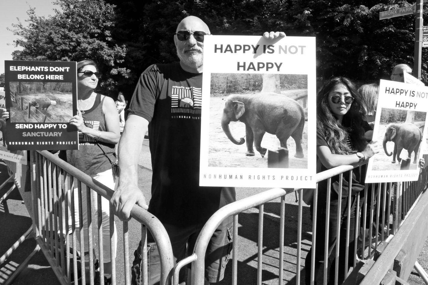 Recap: August Rally for Happy's Freedom | Nonhuman Rights Project