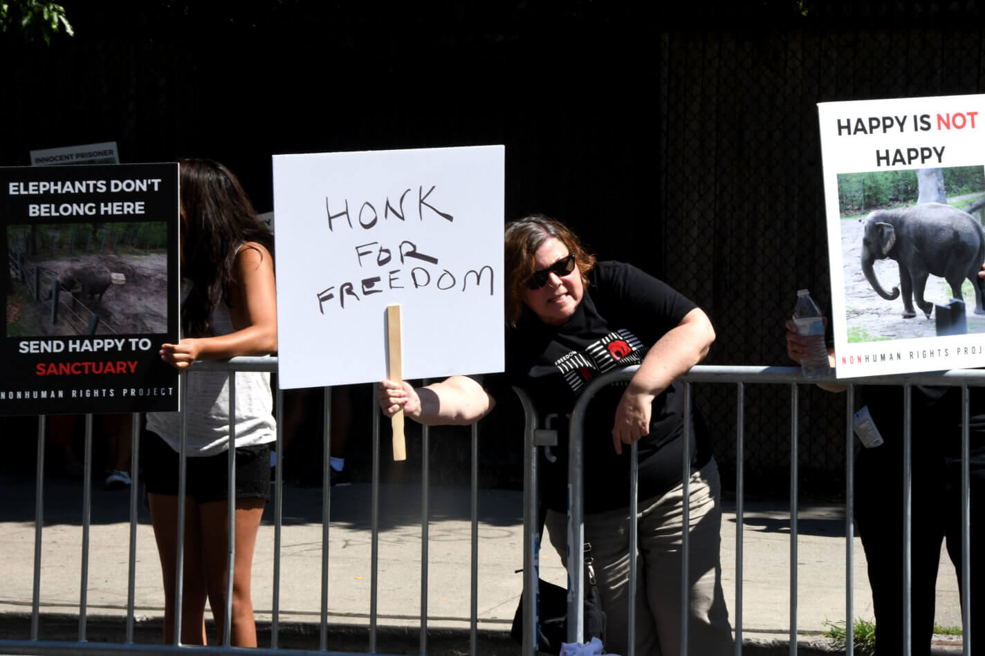 Recap: August Rally for Happy's Freedom | Nonhuman Rights Project