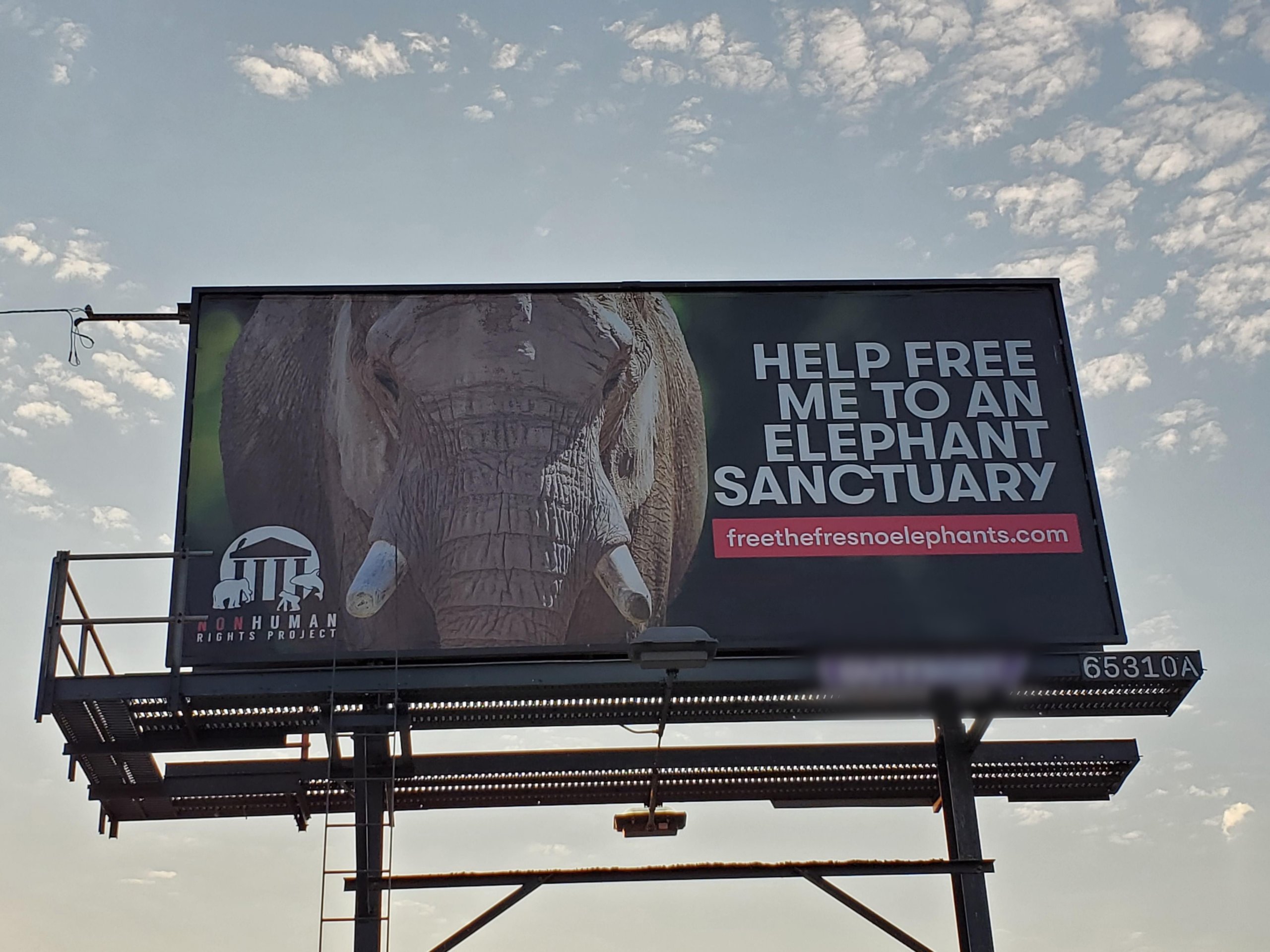 #FreeTheFresnoElephants social media billboard campaign | Nonhuman ...