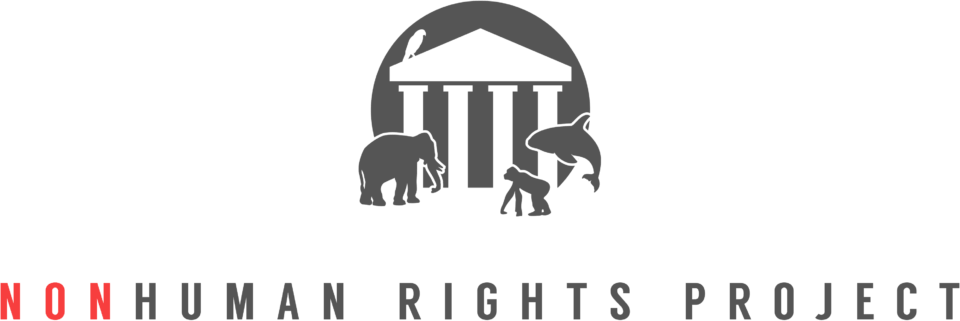 Nonhuman Rights Project Argues for Elephant Personhood, Rights in New ...