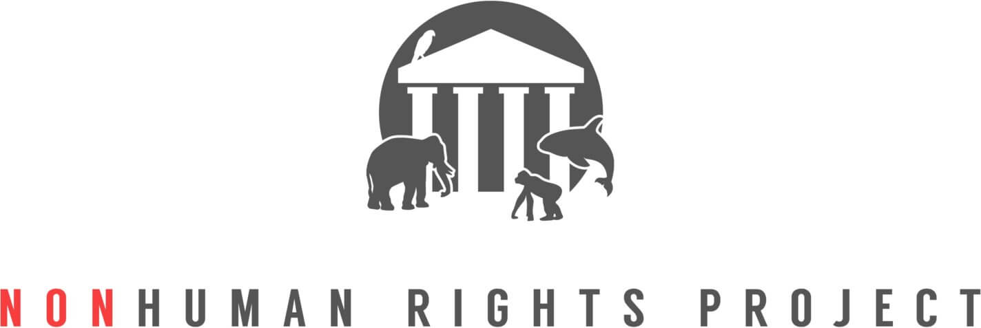 Nonhuman Rights Project Statement on Naruto v. Slater