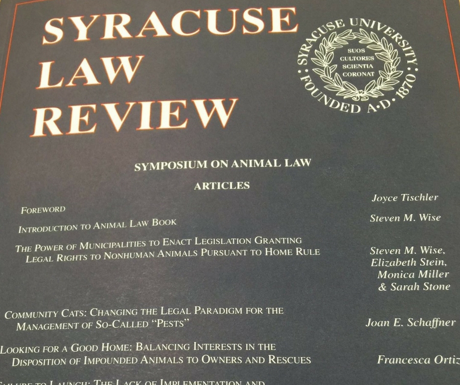 One Way to Help Bring About Legal Change | Nonhuman Rights Project